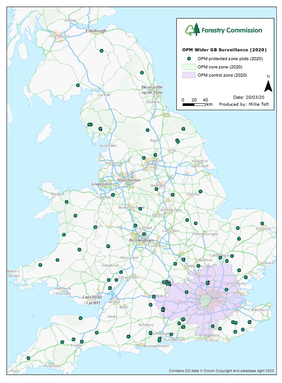 Oak Processionary Moth Update - Observatree
