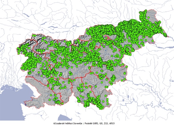 The role of citizen science in tree health in Slovenia - Observatree